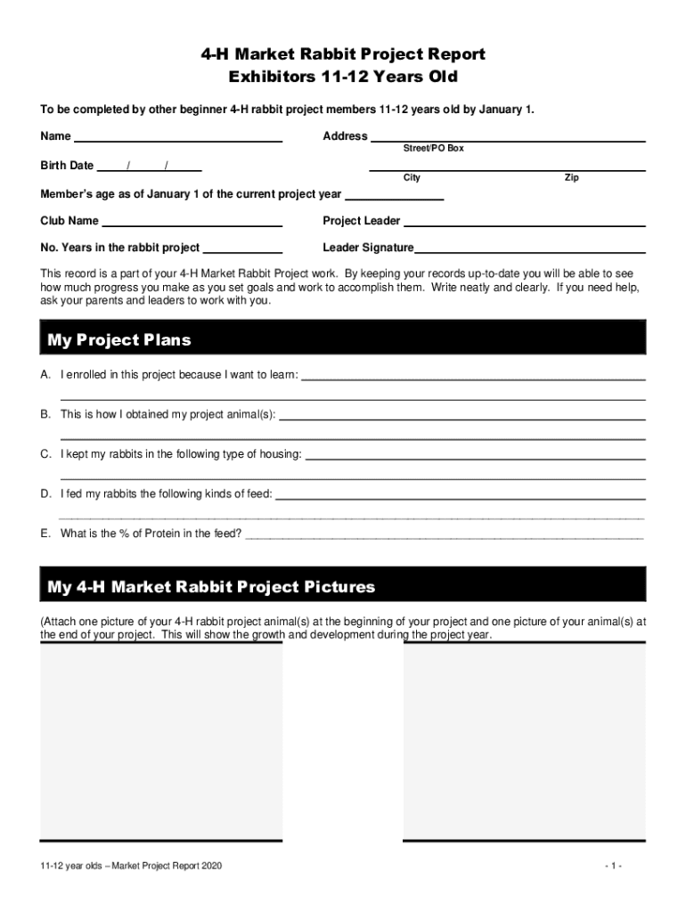 Fillable Online 4-H Market Rabbit Project Report Exhibitors 11-12 Years Old Fax Email Print ...