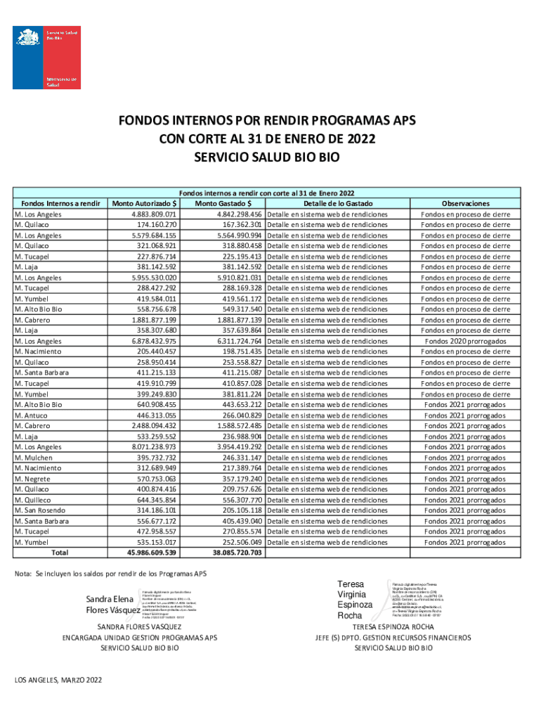 Fillable Online fondos internos por rendir programas aps servicio salud bio bio Fax Email Print ...