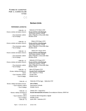 Compilabile Online Formato europeo per il curriculum vitae Fax Email ...
