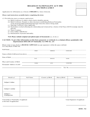 Fillable Online Belize Nationality Application Sec 4 and 5 - Embassy of ...