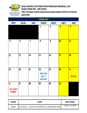 Fillable Online SSM e-Info Fax Email Print - pdfFiller