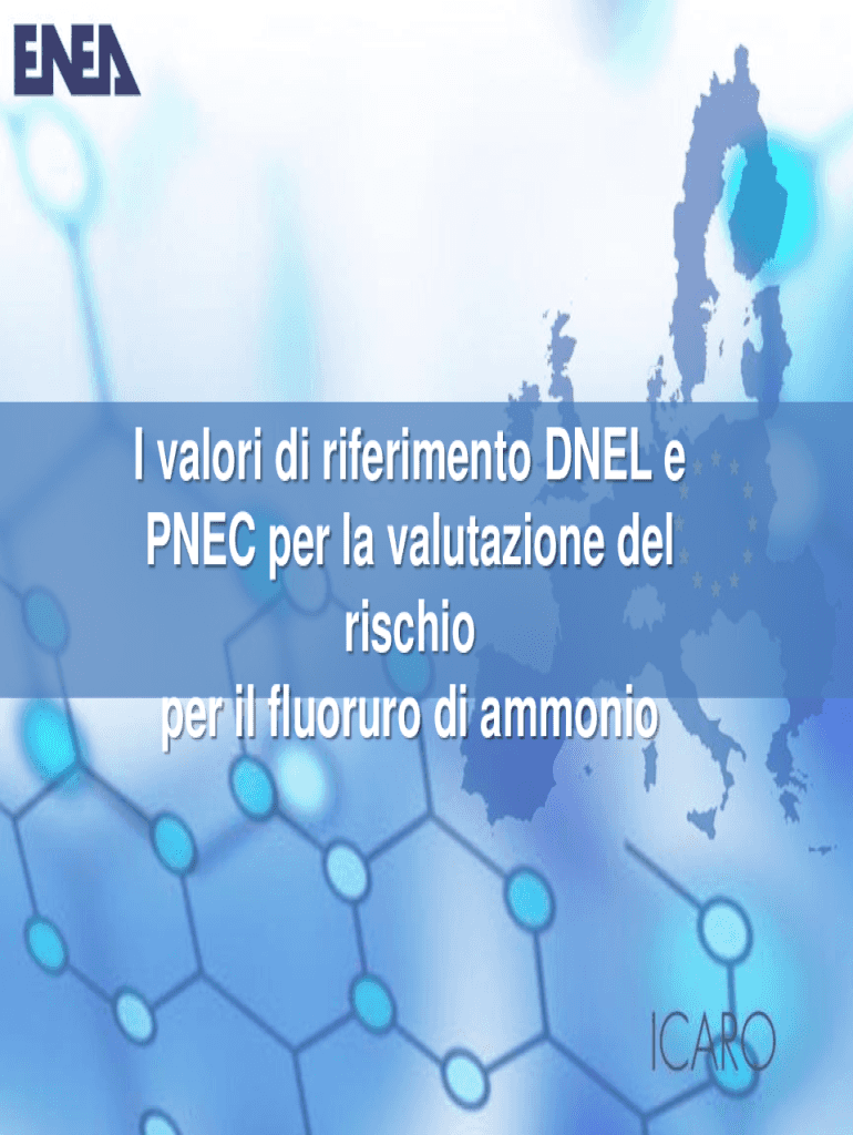 Compilabile Online Derived No Effect Level (DNEL) REACH e OEL Rischio ...
