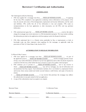 Fillable Online Borrower Authorization - Fill and Sign Printable ...