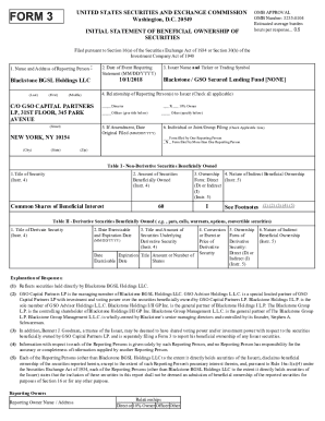 Fillable Online C/O GSO CAPITAL PARTNERS Fax Email Print - pdfFiller