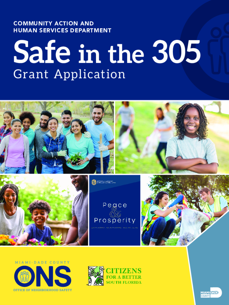 Fillable Online Safe in the 305 Grant Application Miami-Dade County Fax Email Print - pdfFiller