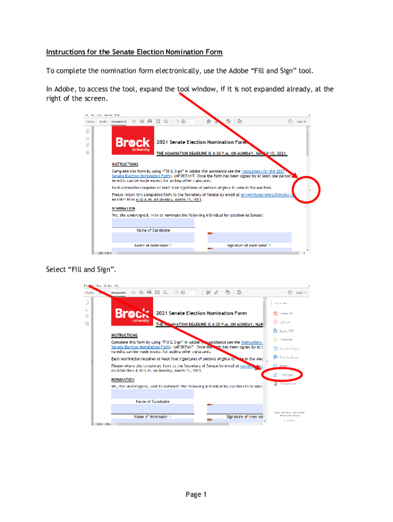 Fillable Online Instructions for the Senate Election Nomination Form ...