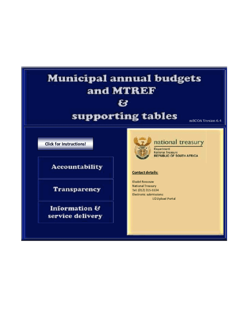 Fillable Online mfma treasury gov www.treasury.gov.za mfma ...