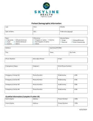 Fillable Online Patient Demographic Information - Skyline Health Fax Email Print - pdfFiller
