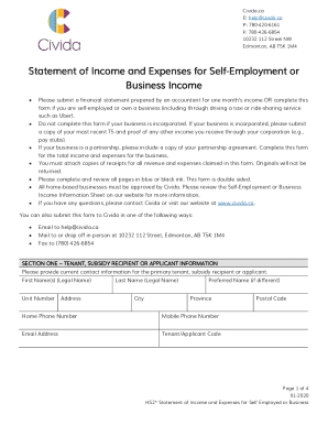 Fillable Online HS2 Statement of Income and Expenses for SelfEmployed ...