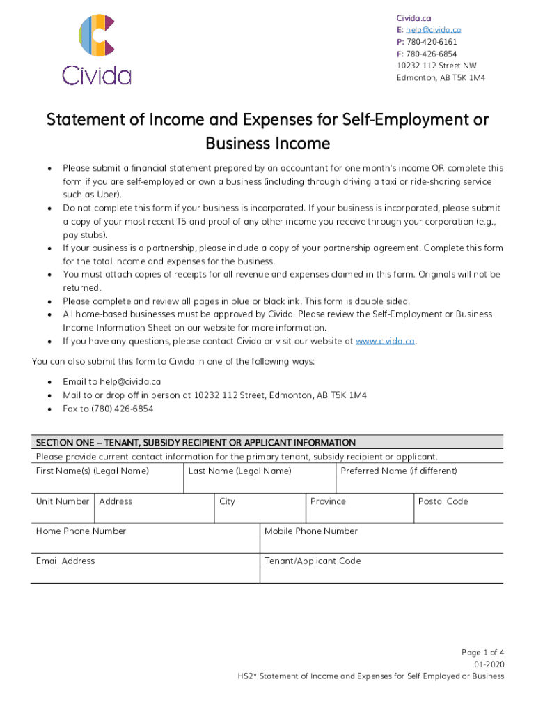 Fillable Online HS2 Statement of Income and Expenses for SelfEmployed ...