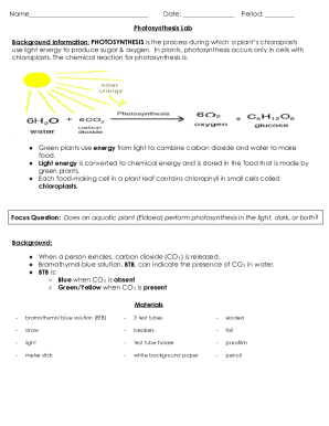 Fillable Online Lab 5 Metabolism.docx - Data Sheet: Activity ...