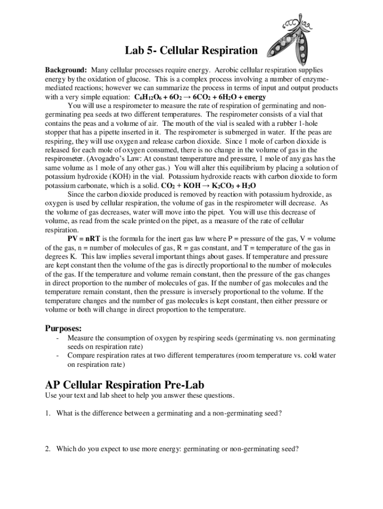 Fillable Online biologyjunction.comlab-5-cellular-respiration-by-krLab 5 Cellular Respiration by ...