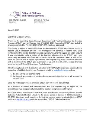 Fillable Online ocfs ny it.ocfs.ny.gov programs youthSupervision and ...