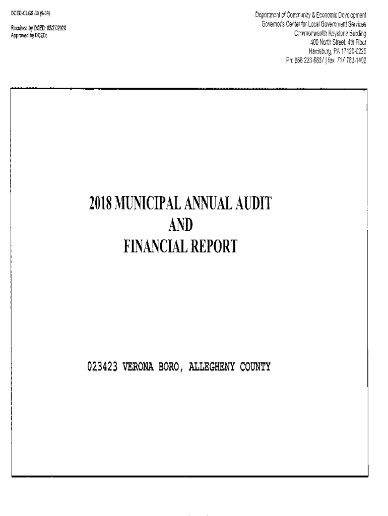 Fillable Online 2018 MUNICIPAL ANNUAL AUDIT AND FINANCIAL REPORT Fax ...