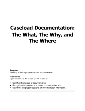 Fillable Online dcf wisconsin Caseload Documentation: The What, The Why ...