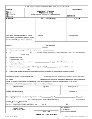 Fillable Online Statement of Claim (Promissory Note) (File in Duplicate ...