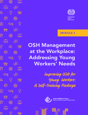 Fillable Online ciaris.ilo.orgglobaltopicsImproving OSH for Young ...