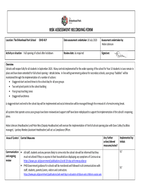 Fillable Online RISK ASSESSMENT RECORDING FORM - Schudio Fax Email ...