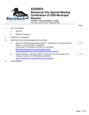 Fillable Online Review of 2020 Municipal Election Results ...