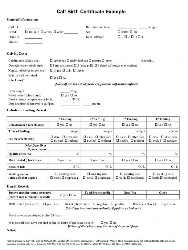 Fillable Online 15+ Birth Certificates Examples, Templates in Word ...
