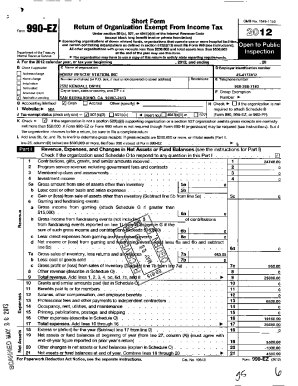 Fillable Online IRS Form 990-EZ 2021Form 990-EZ Filing for ...
