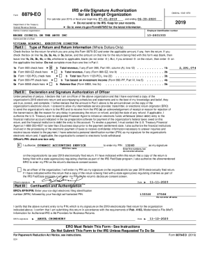 Fillable Online www.bronxarts.org uploads financialsIRS e-file ...