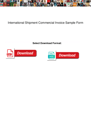 Fillable Online International Shipment Commercial Invoice Sample Form ...