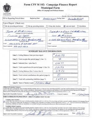 Fillable Online Form CPF M 102: Campaign Finance Report Municipal Form ...