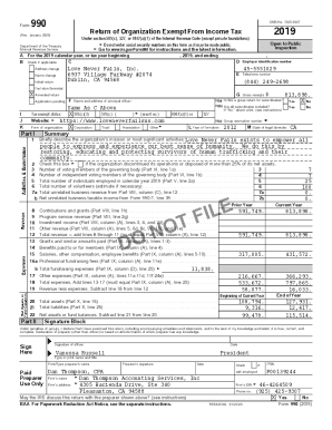 Fillable Online 2019 Final Form 990 - LNF Fax Email Print - pdfFiller