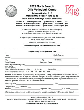 Fillable Online Nsa Softball Printable Roster Form - zeru.herokuapp.com ...