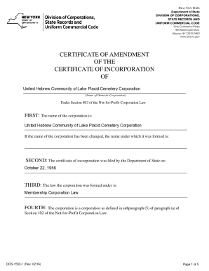 Fillable Online dos ny dol.ny.gov system filesInformation About Filing ...