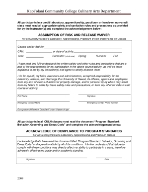 Carnival Cruise Consent Form For Minors - Fill Online, Printable ...
