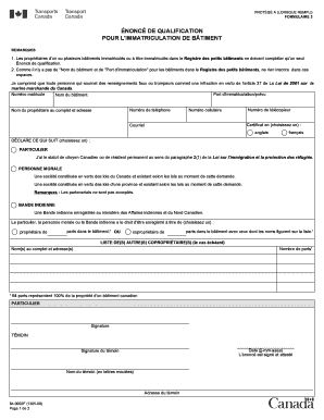 Fillable Online Mexico customs declaration form online puerto vallarta ...