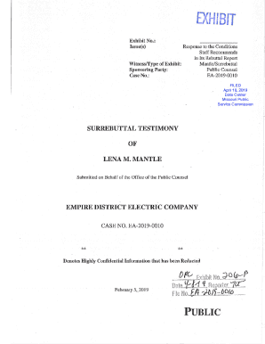 Fillable Online Responding to False, Inaccurate, and Misleading ...