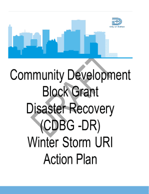 Fillable Online Community Development Block Grant Disaster Recovery ...