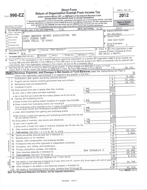Fillable Online v Short Form 990-EZ Return of Organization Exempt From ...