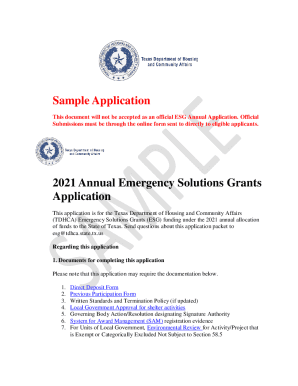 Fillable Online Sample Application 2021 Annual Emergency Solutions ...