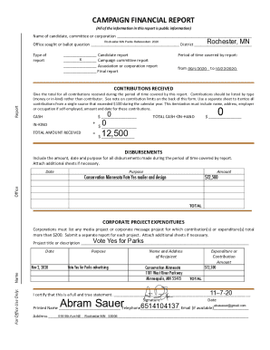 Fillable Online OSS Campaign Finance Forms Fax Email Print - pdfFiller