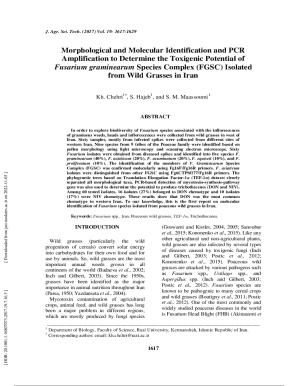 Afa Score Sheet - Fill Online, Printable, Fillable, Blank | pdfFiller