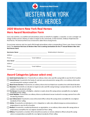 Fillable Online 2021 Western New York Real Heroes Hero Award Nomination ...