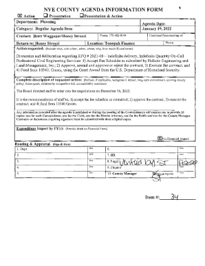 Fillable Online NYE COUNTY AGENDA INFORMATION FORM c Item #: Fax Email ...