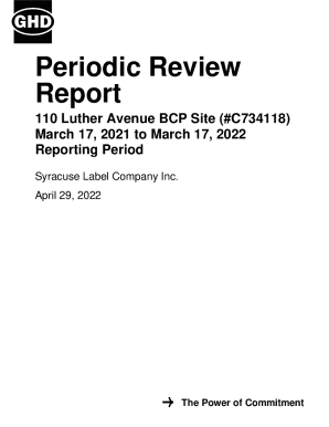 Fillable Online Periodic Review Report - dec.ny.gov Fax Email Print ...