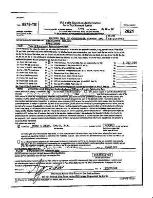 Fillable Online 8453-TE Tax Exempt Entity Declaration and Signature ...