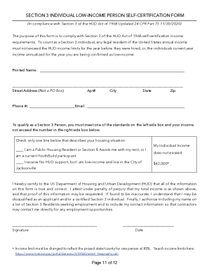 Fillable Online Section 3 Individual Low-income Person Self ...