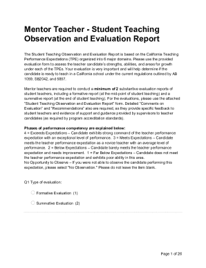 Fillable Online 12+ SAMPLE Teacher Observation Report in PDF MS Word ...