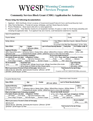 Fillable Online Community Services Block Grant (CSBG) Application for ...