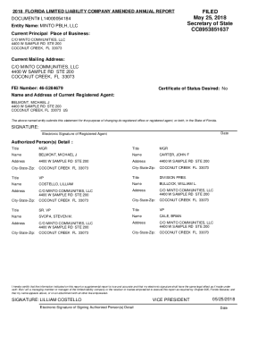 Fillable Online Florida LLC Annual Report (Everything You Need to Know ...