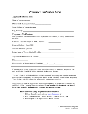 Fillable Online 14 Free Pregnancy Verification Forms and Templates ...