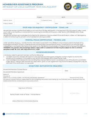 Texas Homebuyer Assistance Child Support Affidavit - Blank Fillable ...