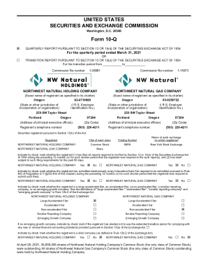 Fillable Online 2021 Q1 Form 10-Q Document Fax Email Print - pdfFiller